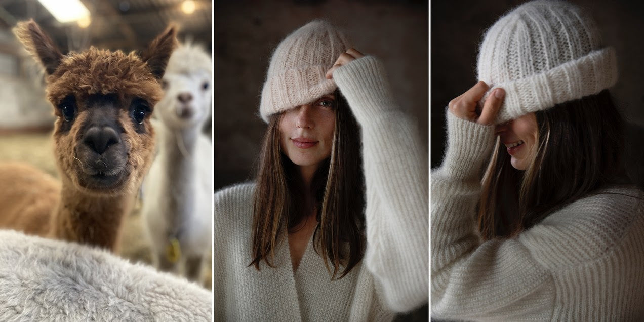 Newsletter December 2023 – The Knitwit Stable